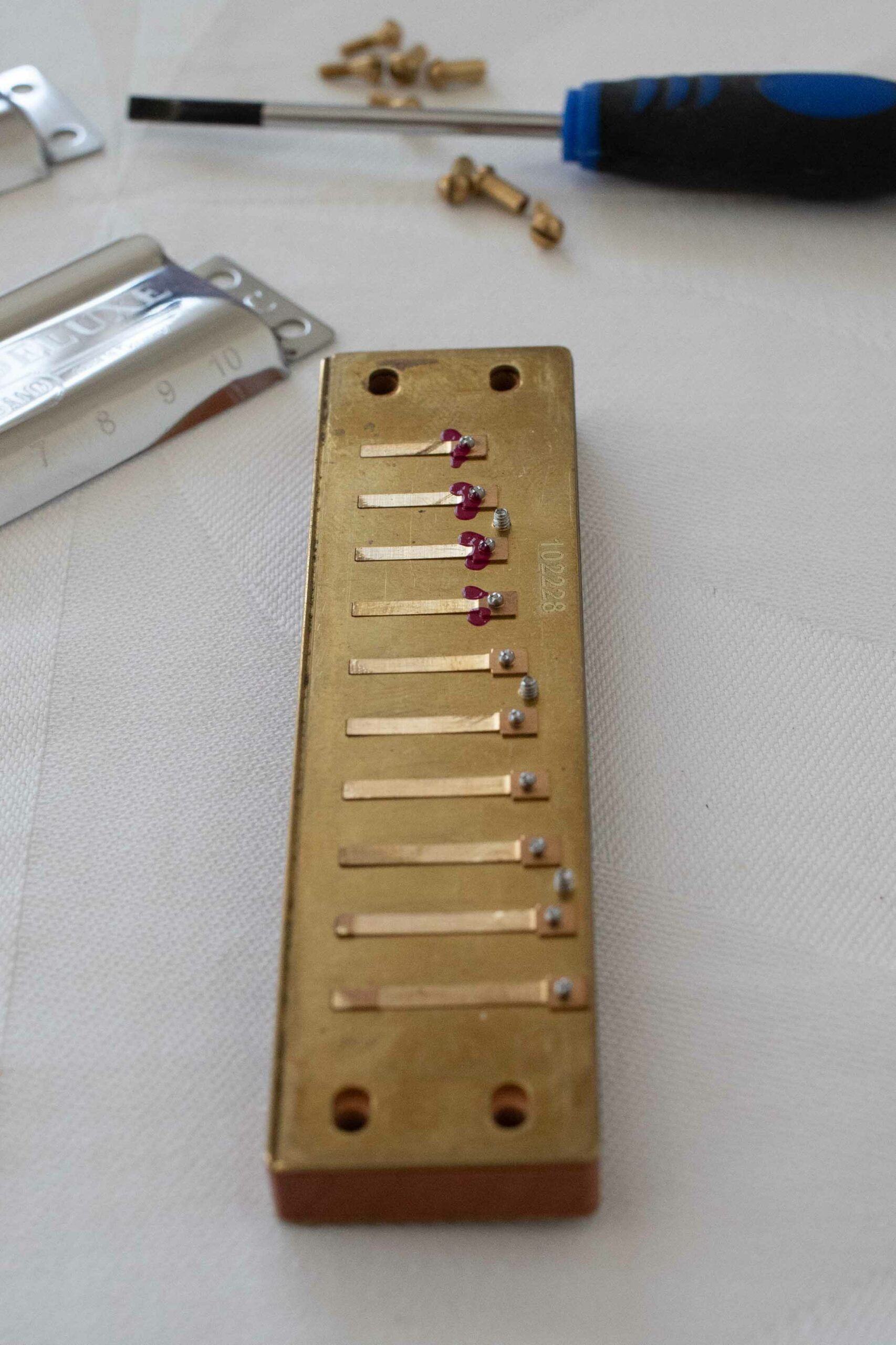 Hohner Harmonicas – Planet Harmonica